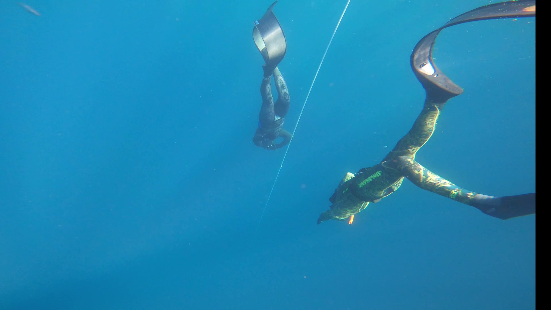 Services – Renssant Freedive – Seattle